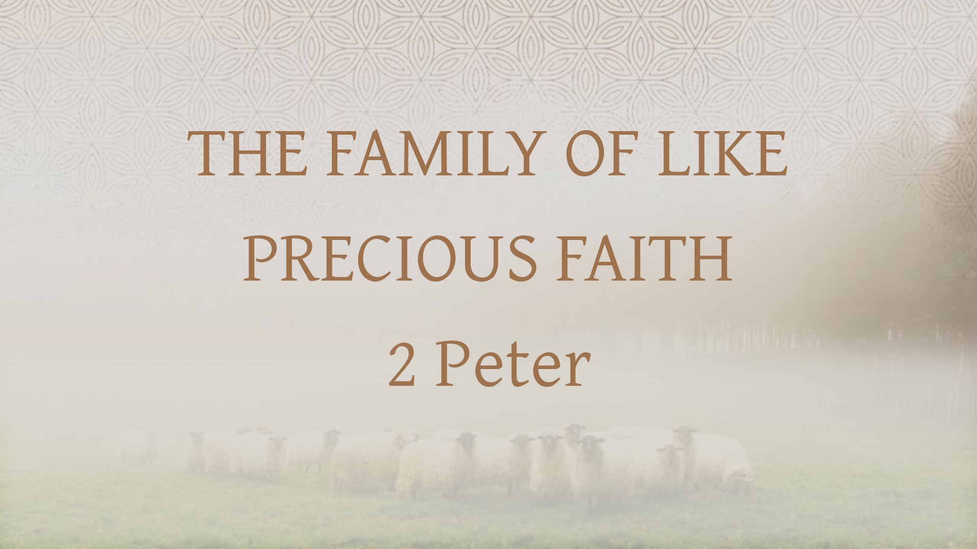 The Family Of Like Precious Faith Archives - Mount Greylock Baptist Church